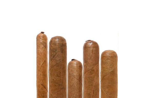 Cuban B Bundles - Showroom